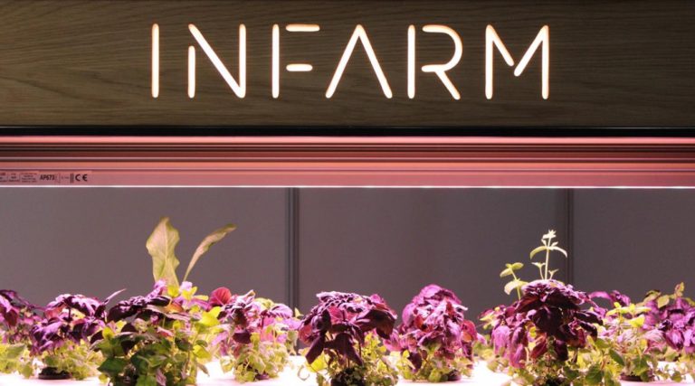 InFarm : faire pousser ses légumes dans les supermarchés – Supper