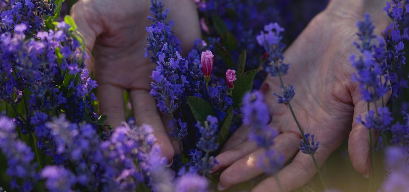Repositionnement de la marque Naturactive et stratégie business à 3 ans ...